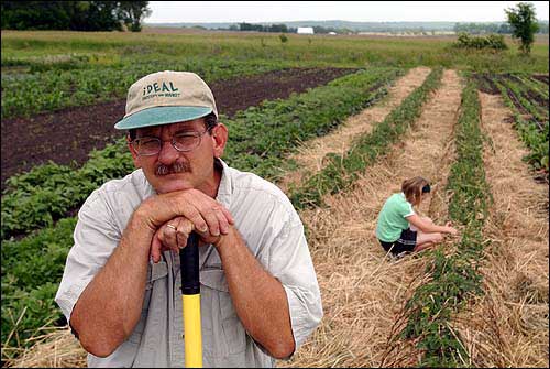 Altered crops, risky business | News, Sports, Jobs - Lawrence Journal ...